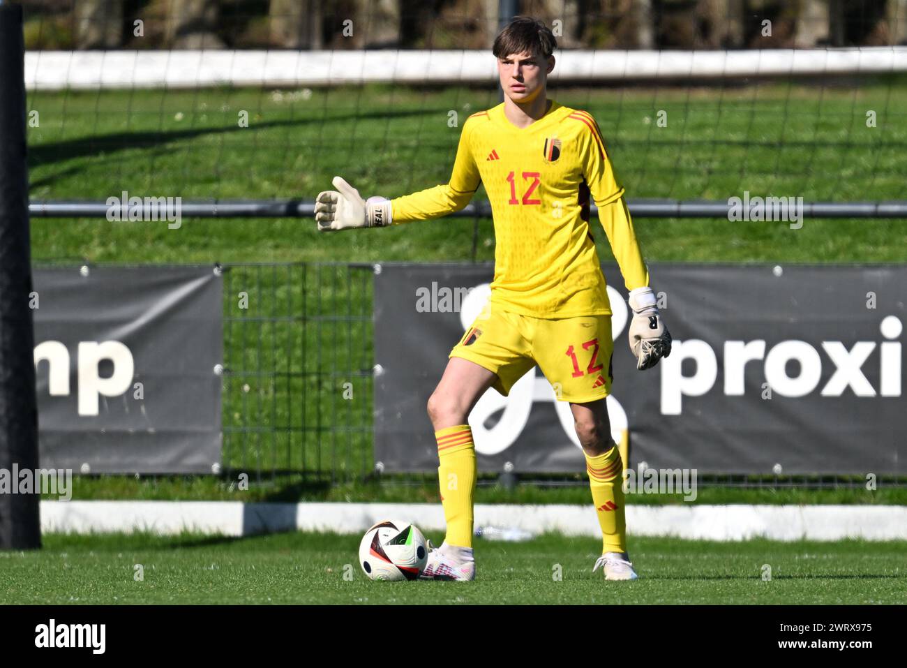 Bas Evers (12) of Belgium pictured during a friendly soccer game ...