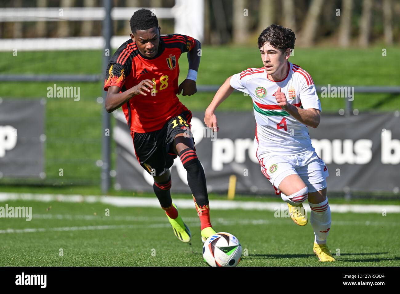 Tubize, Belgium. 14th Mar, 2024. Jesse Bisiwu (18) of Belgium and Peter Milicz (4) of Hungary ...