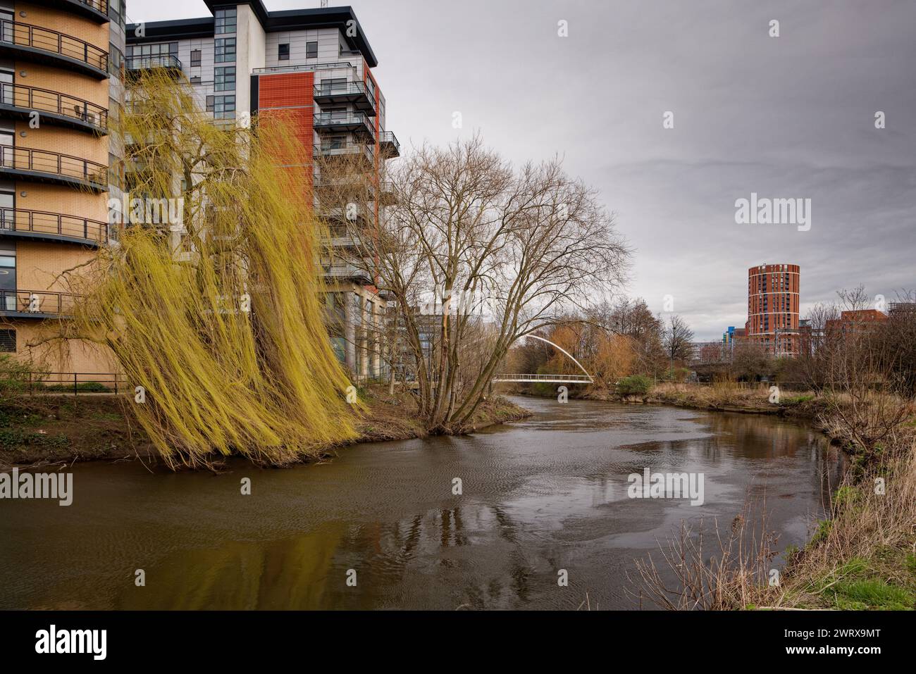 Spring on the River Aire, Leeds, Yorkshire Stock Photo - Alamy