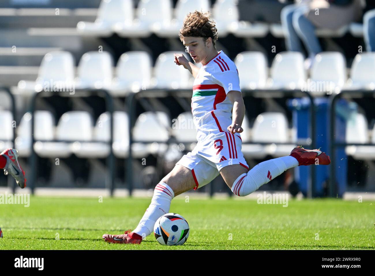 Tubize, Belgium. 14th Mar, 2024. Benjamin Golik (9) of Hungary pictured ...