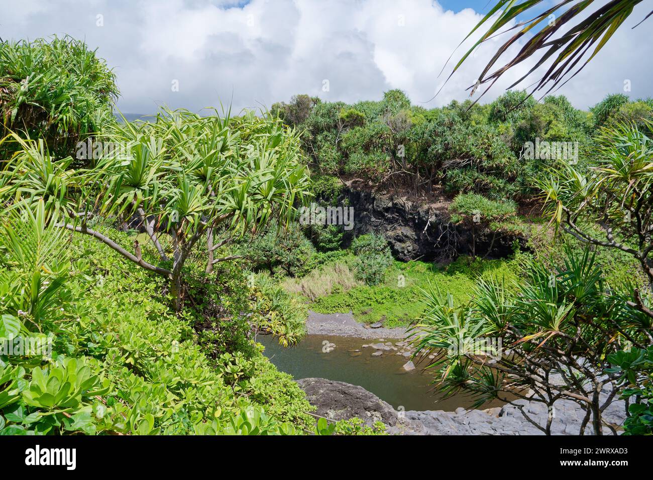 the Oheo Gulch (also called Seven Sacred Pools) Haleakala National Park ...