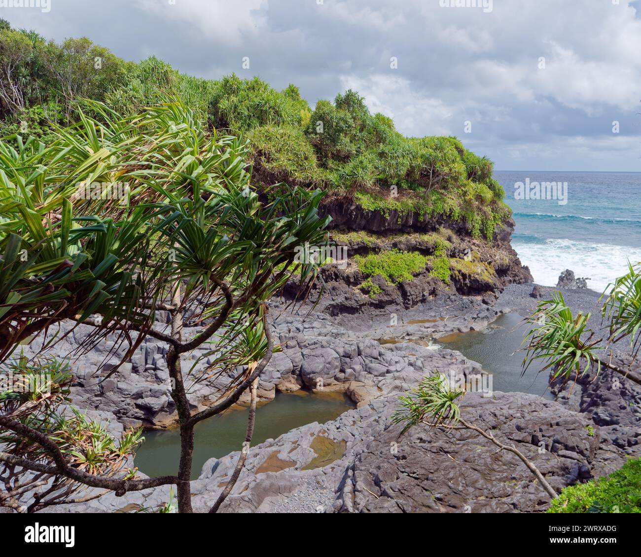Sandy beach with rocks, small pool, and bushes Stock Photo - Alamy