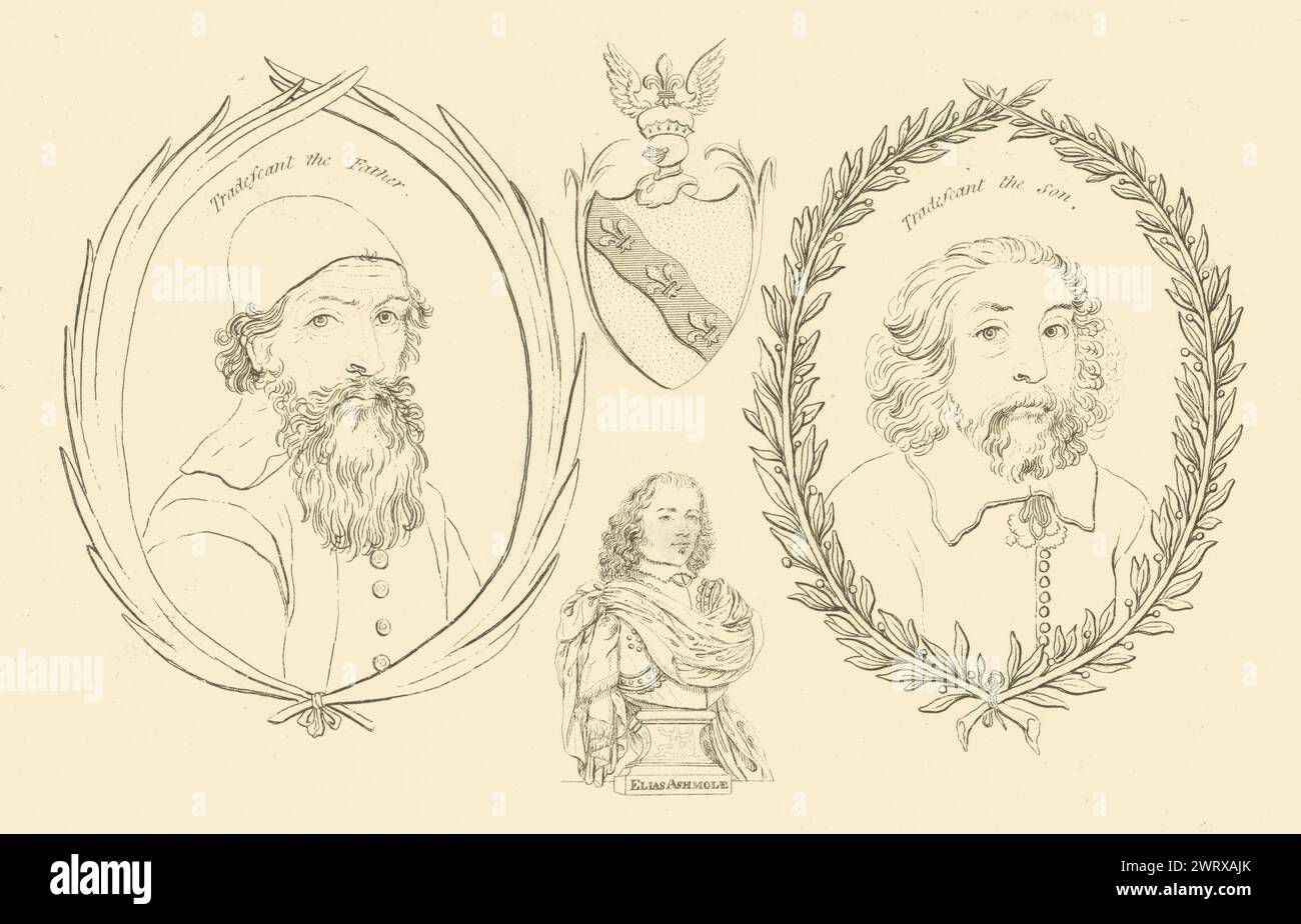 John Tradescant, Royal gardeners. Lambeth Ark/Ashmolean museum ...