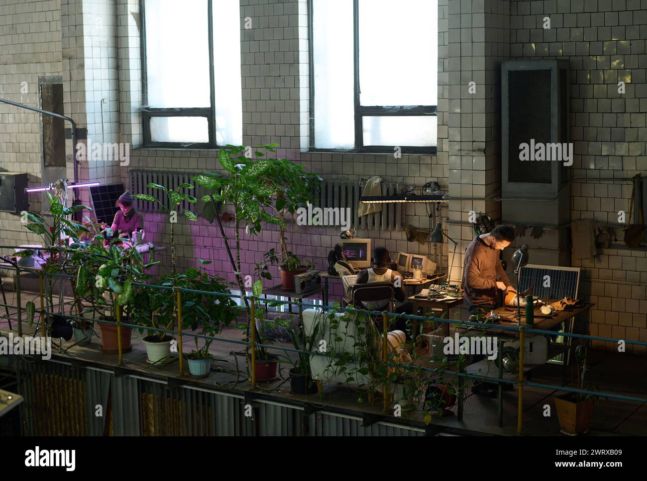 Extreme long shot of three diverse young people working post ...