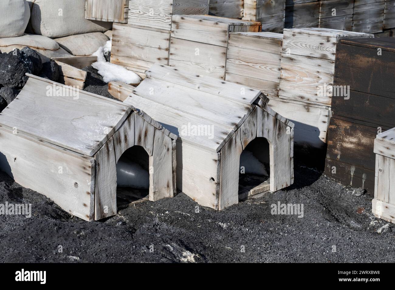 Antarctica, Ross Sea, Ross Island, Cape Royds. Shackleton's Hut, used ...