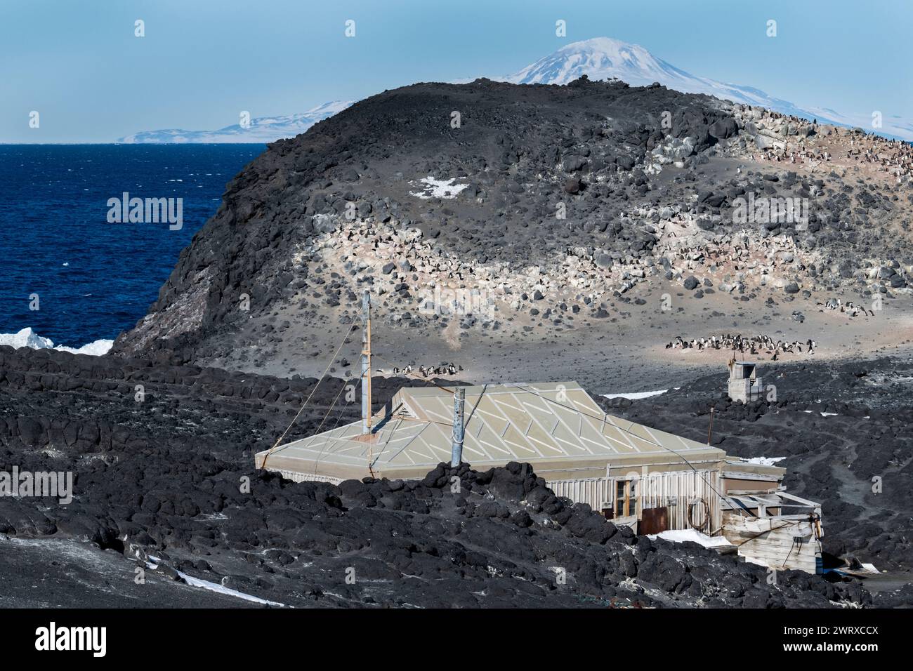 Antarctica, Ross Sea, Ross Island, Cape Royds. Shackleton's Hut, used ...