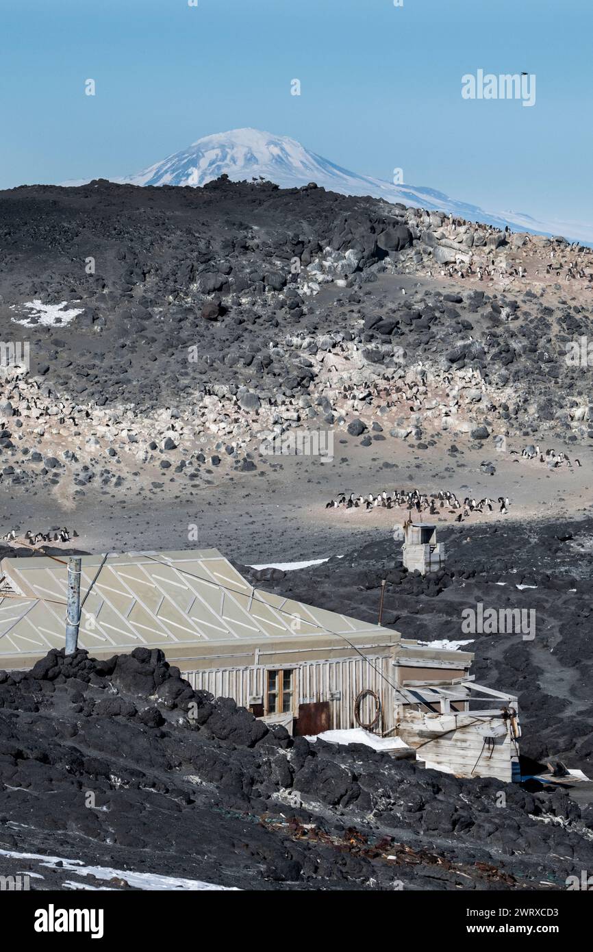 Antarctica, Ross Sea, Ross Island, Cape Royds. Shackleton's Hut, used ...