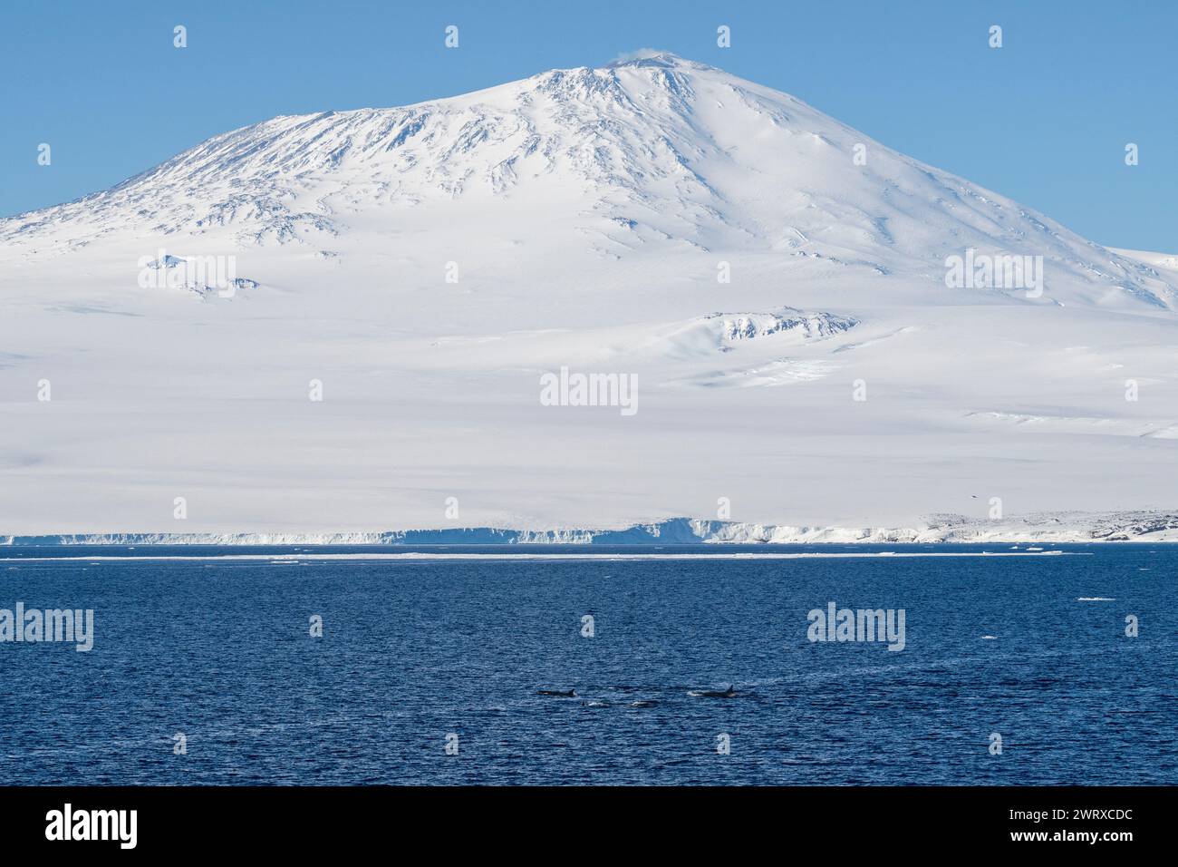 Antarctica, Ross Sea, Ross Island, 77° 40 02 S 166° 00 77E. Ross Sea ...