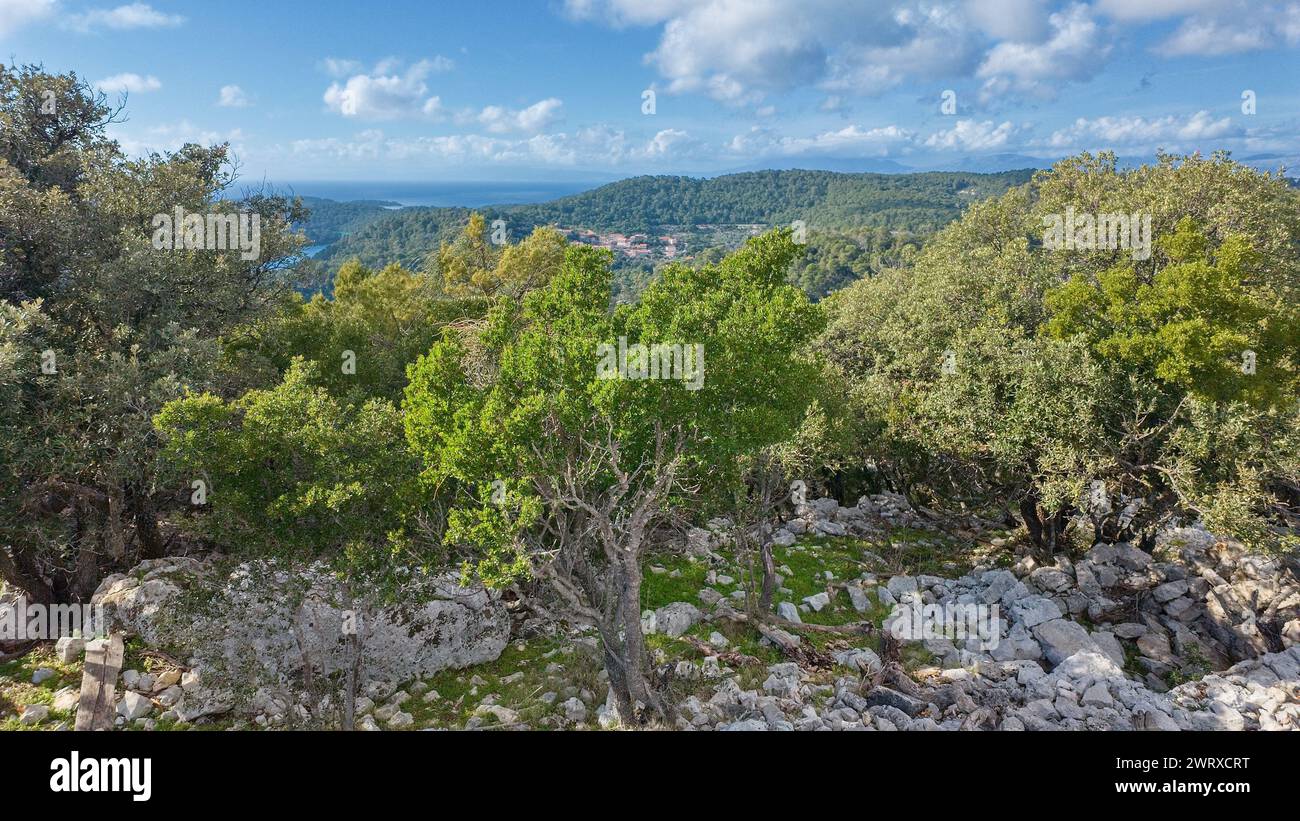 Gradac park croatia hi-res stock photography and images - Alamy