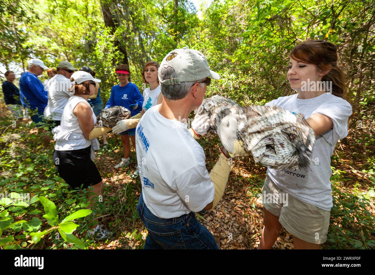 Volunteers use a bucket brigade to move bags of recycled oyster shells ...