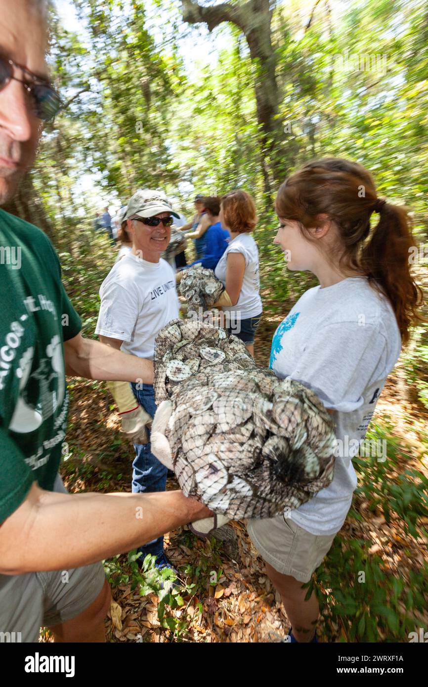 Volunteers use a bucket brigade to move bags of recycled oyster shells ...