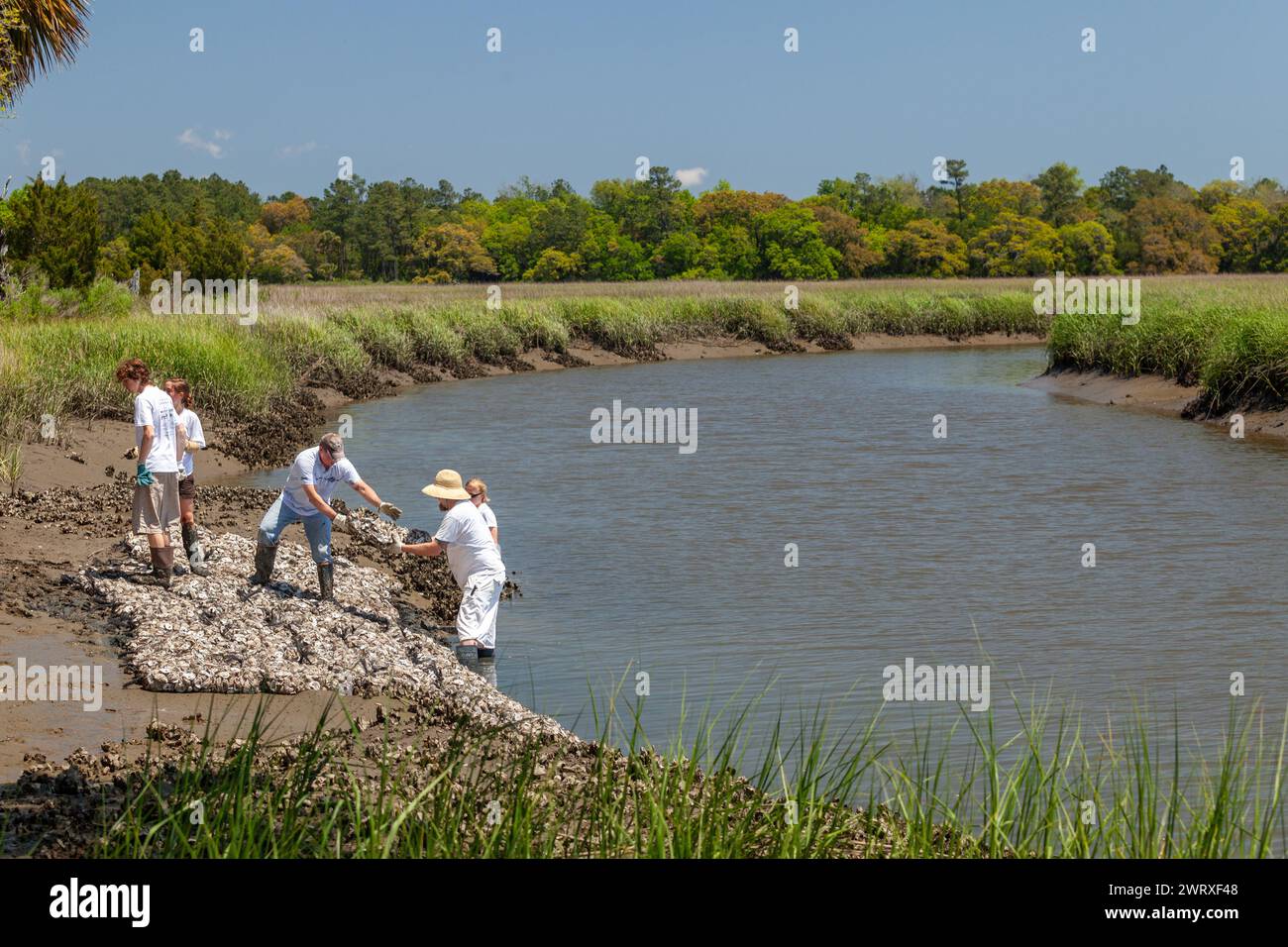 Volunteers use a bucket brigade to move bags of recycled oyster shells ...