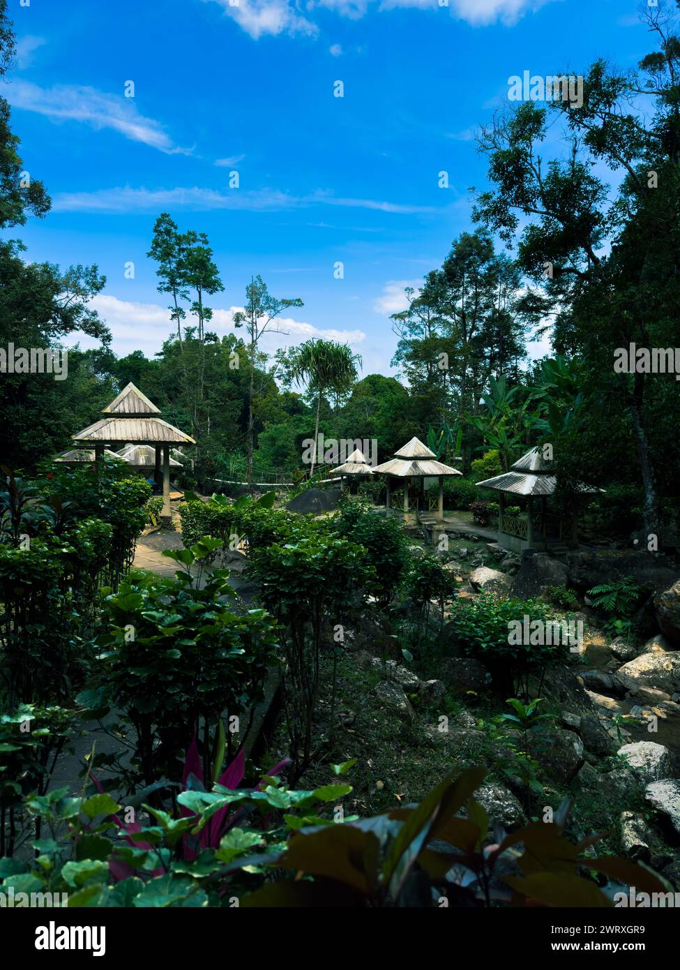 Lush green landscape with diverse vegetation, trees, and rocks Stock ...