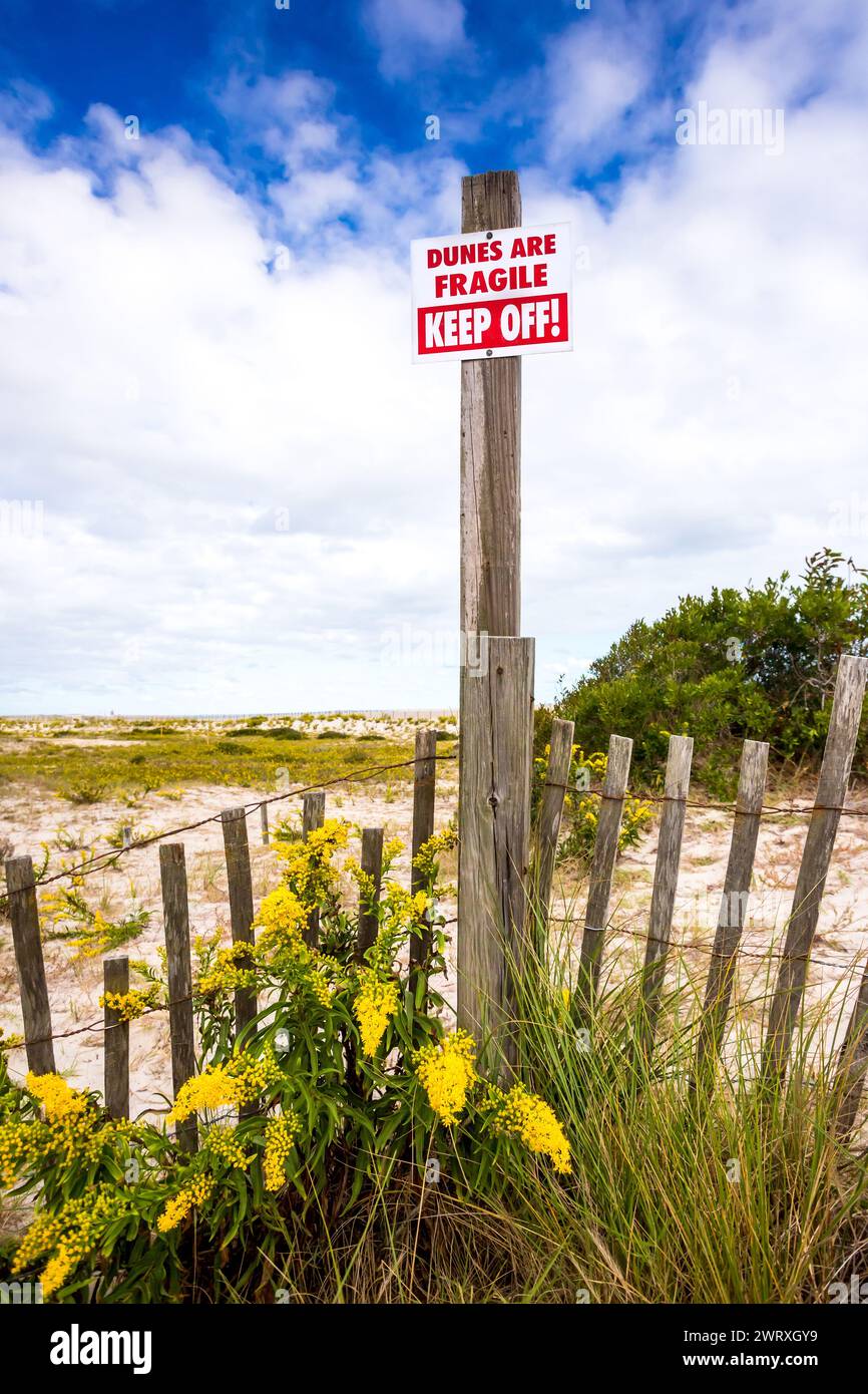 A Keep Off sign and fence on fragile sand dunes with Goldenrod blooms ...