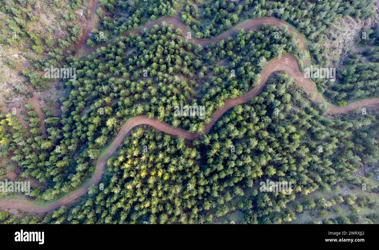 Drone scenery of rural mountain windy road through forest. Troodos ...