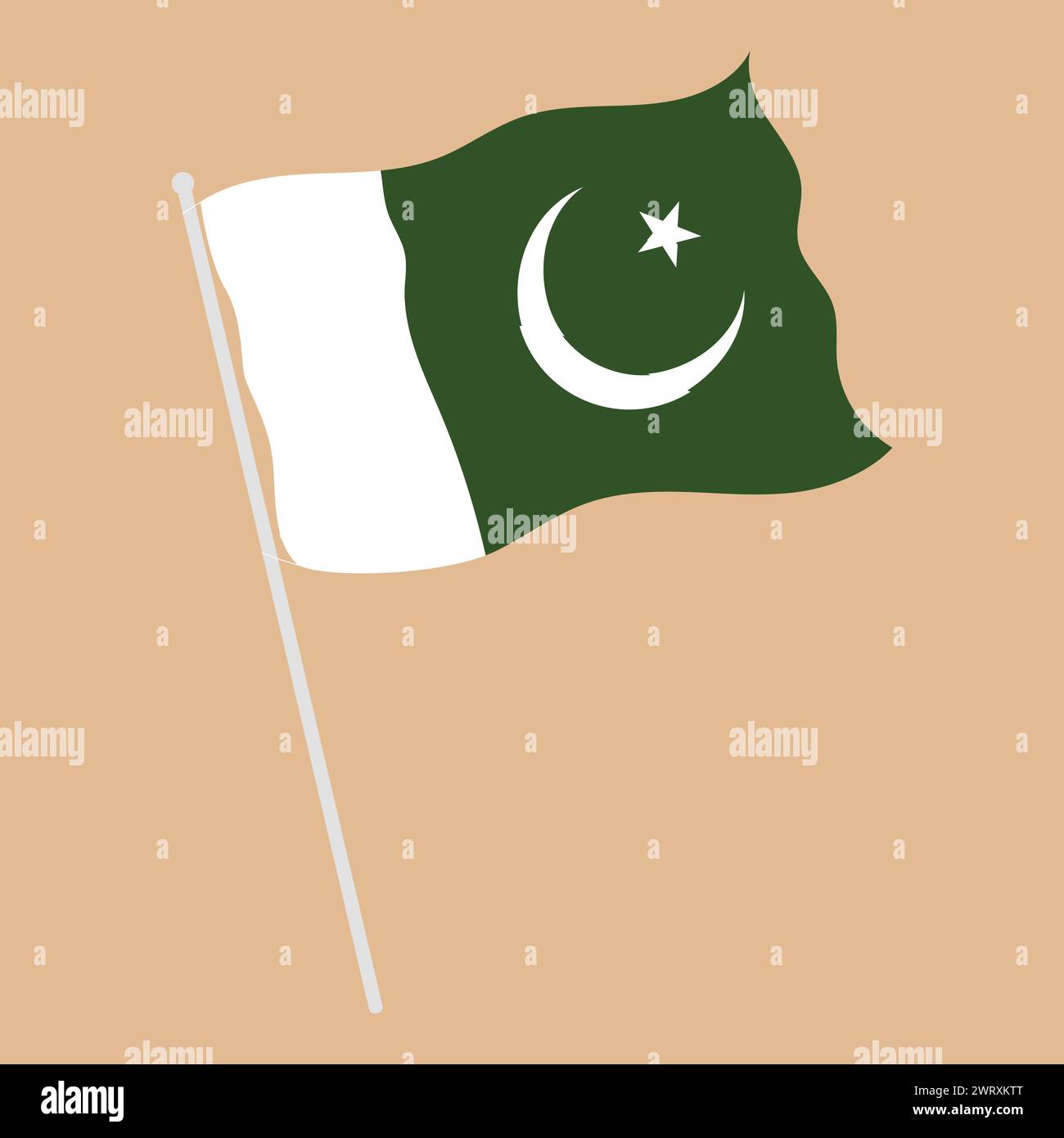 Pakistan Country Flag Vector Illustration Pakistan Flag Waving icon ...