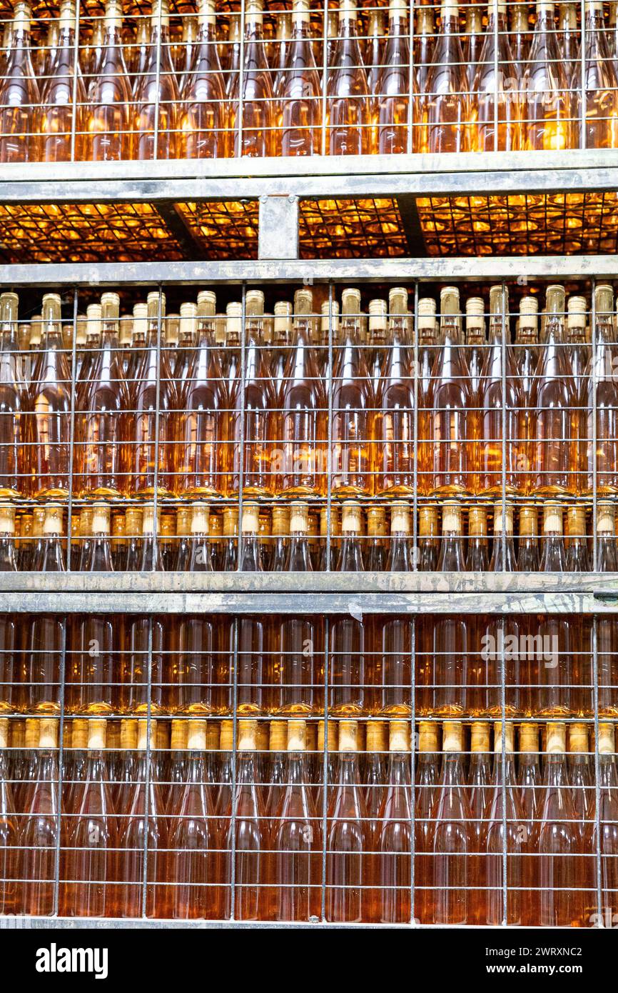Rows of amber-colored Txakoli wine bottles showcase the rich heritage ...