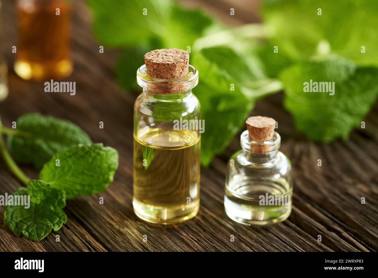 Two essential oil bottles hi-res stock photography and images - Alamy
