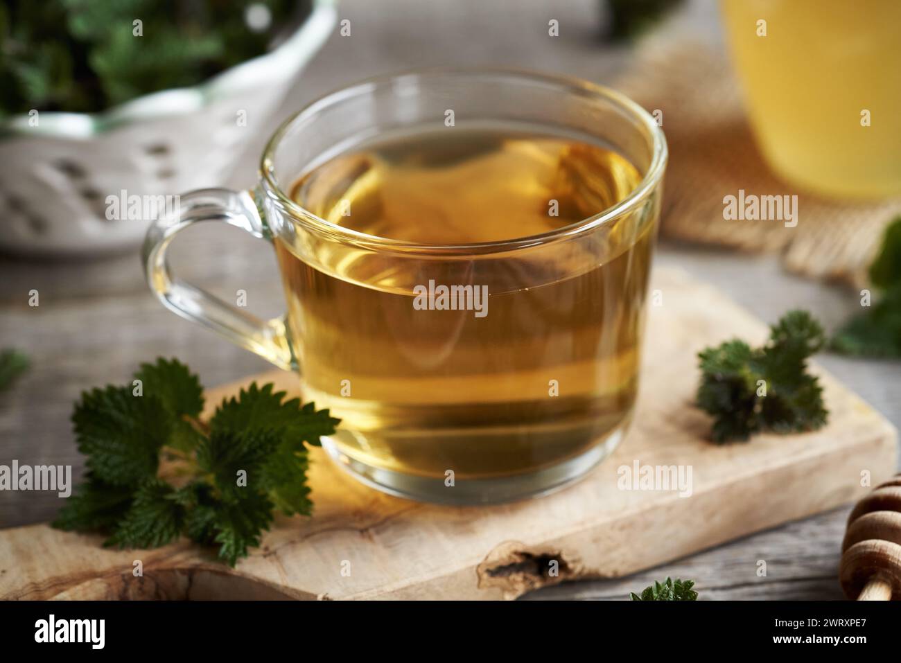 Stinging nettle tea in a glass cup Stock Photo - Alamy