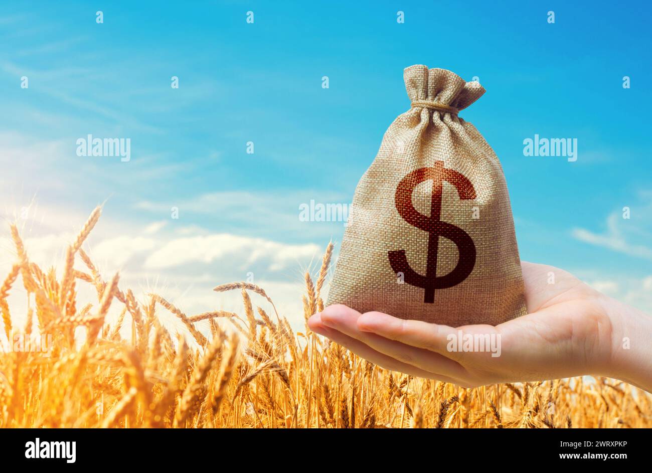 Dollar money bag on the background of wheat ears on a farm field. Food ...