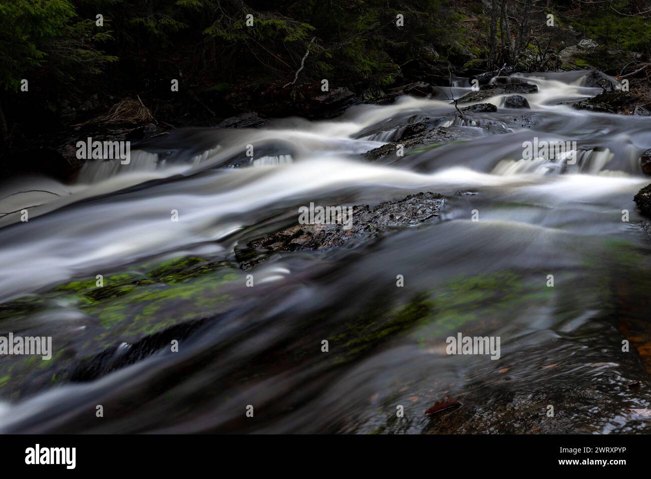 Dark forest river scandinavia hi-res stock photography and images - Alamy