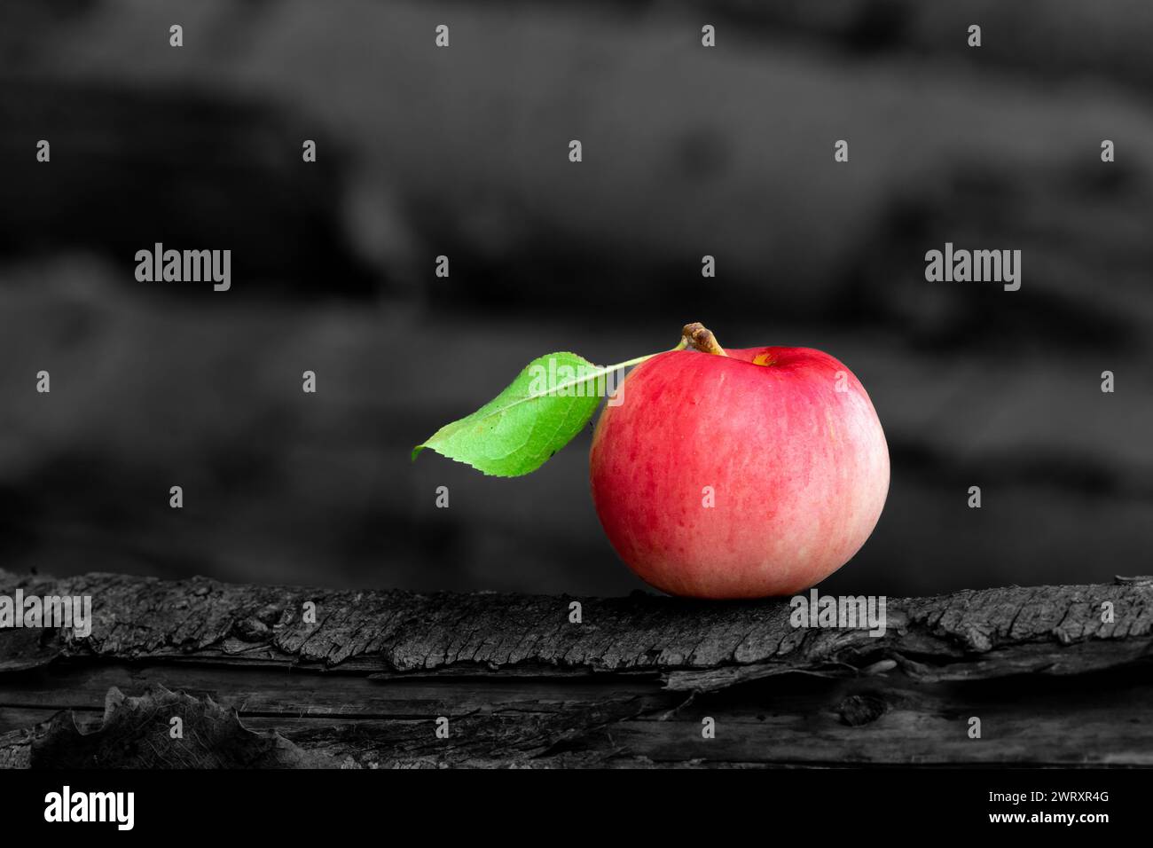 Red apple with green leaf isolated against desaturated background Stock ...