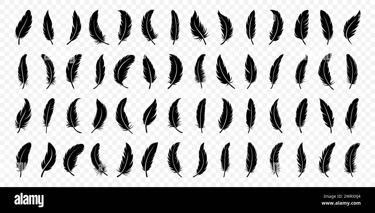 Vector Black and White Fluffy Feather Logo Icons. Silhouette Feather ...