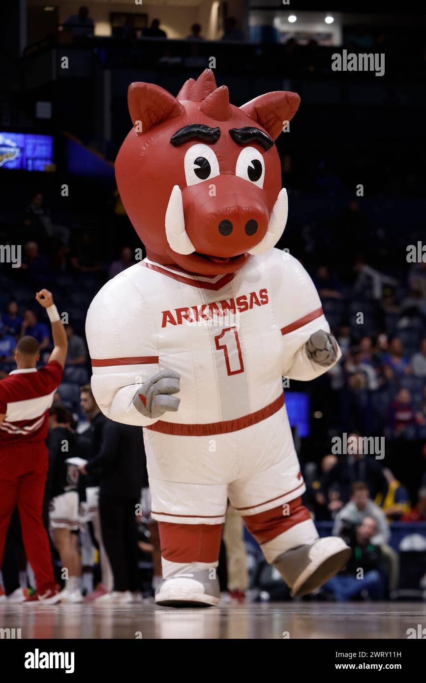 NASHVILLE, TN - MARCH 14: The Arkansas Razorbacks mascot performs ...
