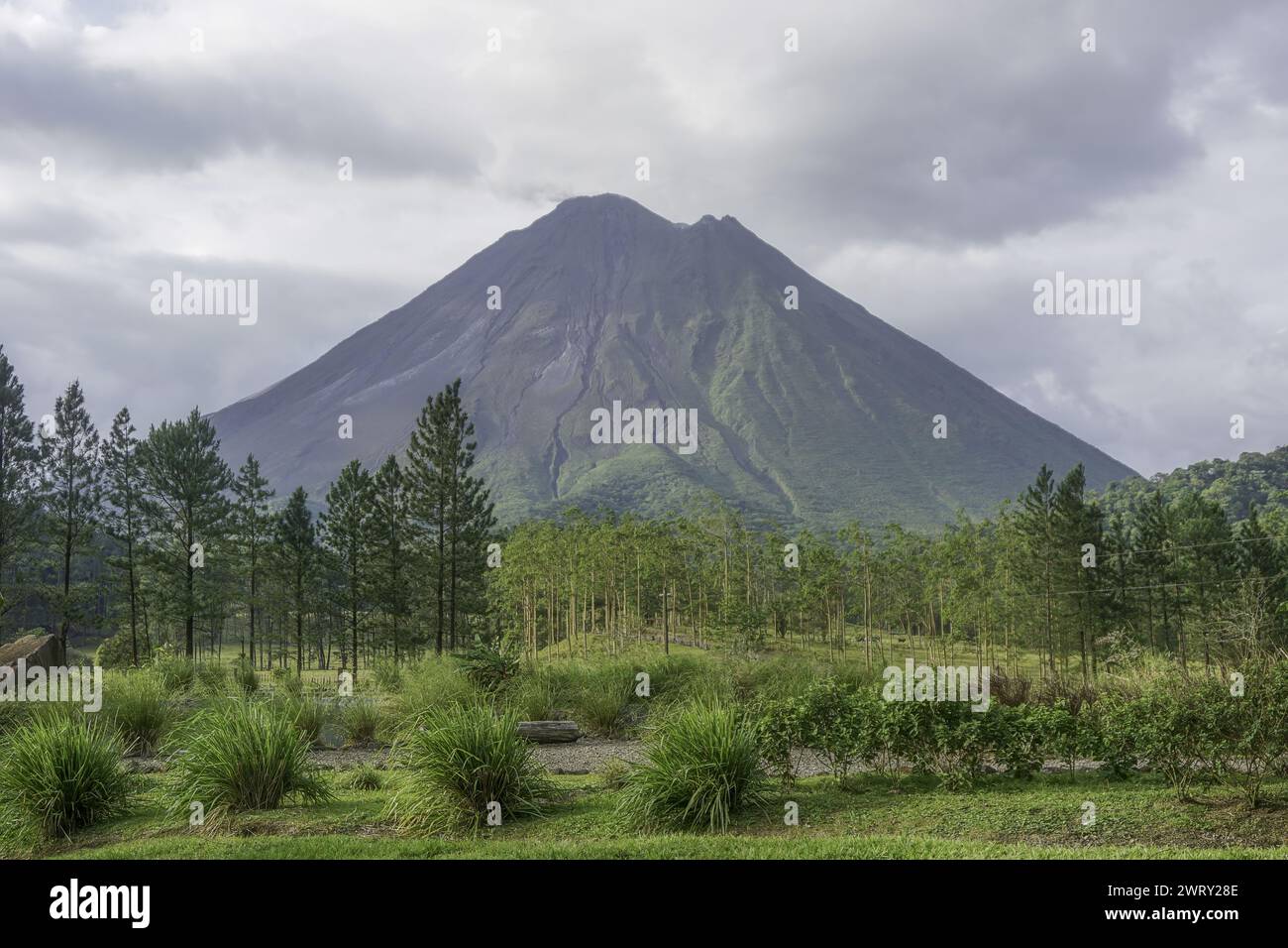 Massive volcano next to forest. High quality photo Stock Photo - Alamy