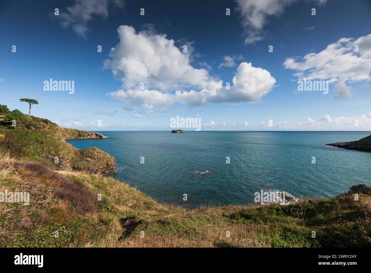Torquay devon hi hi-res stock photography and images - Alamy