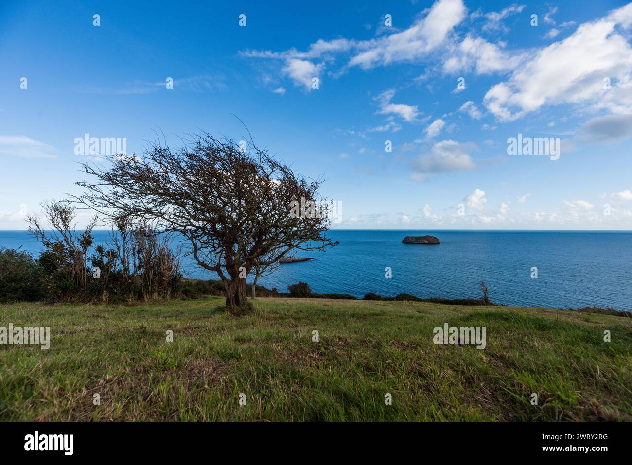 Thatcher hi res hi-res stock photography and images - Alamy