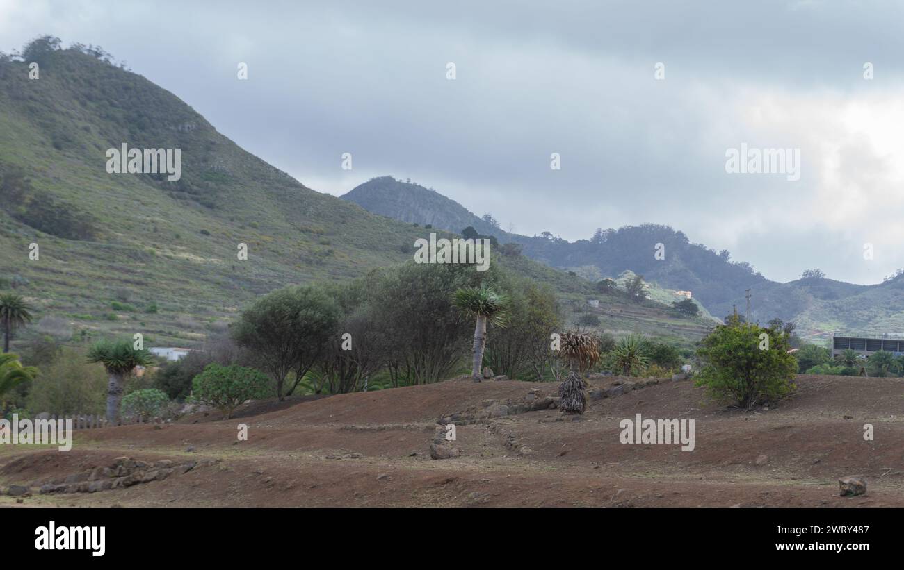 Hills with greenery hi-res stock photography and images - Alamy