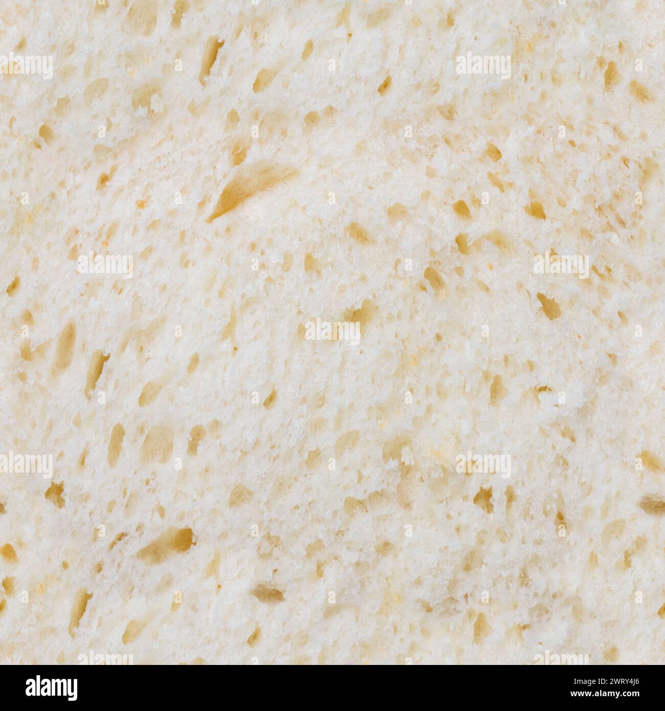 Seamless Bread Texture
