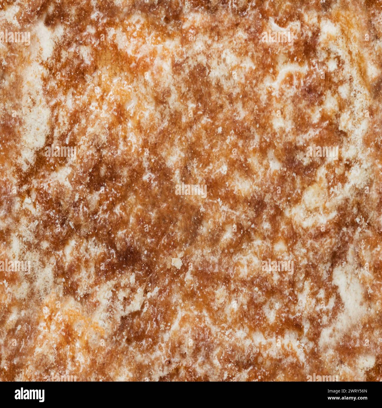 Seamless photo texture of gingerbread pastry cookie Stock Photo - Alamy