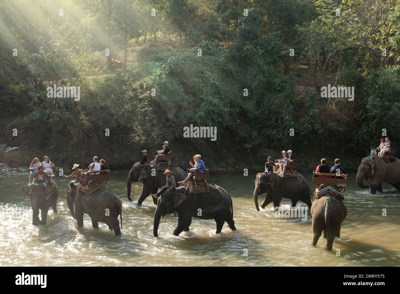 CHIANG MAI, THAILAND - FEBRUARY 23, 2018 : Tourists enjoy riding on ...
