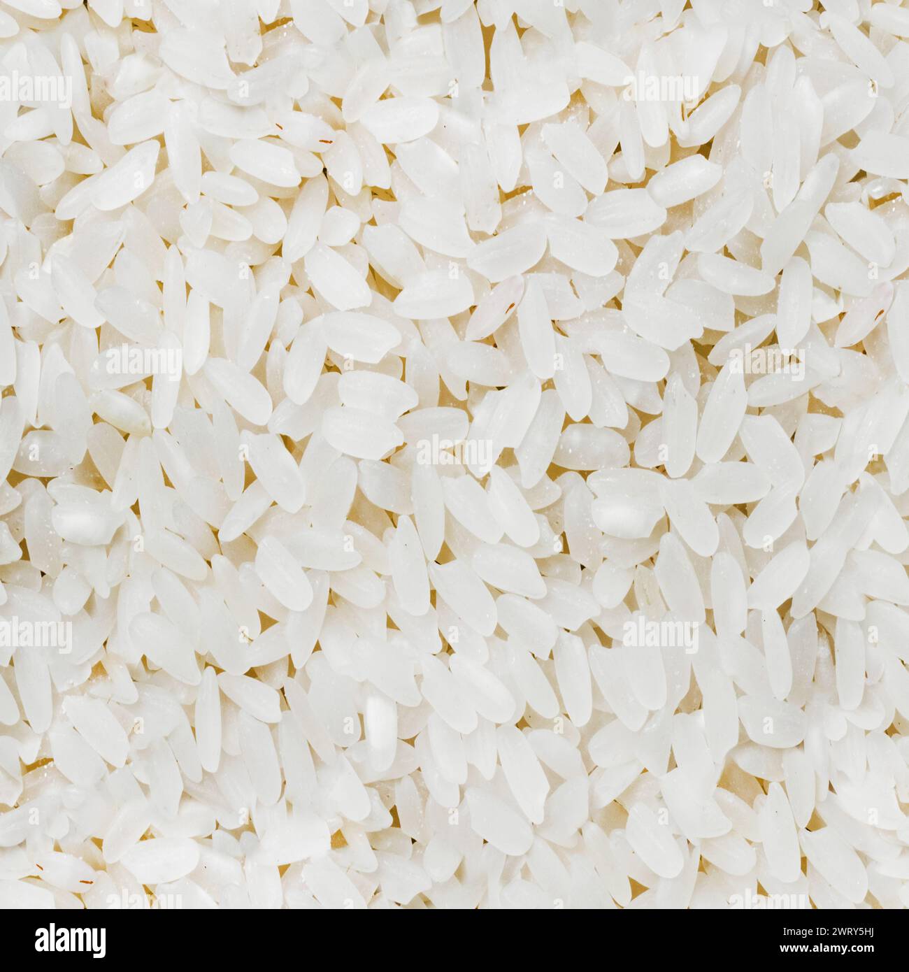 Seamless photo texture of white rice grains Stock Photo - Alamy