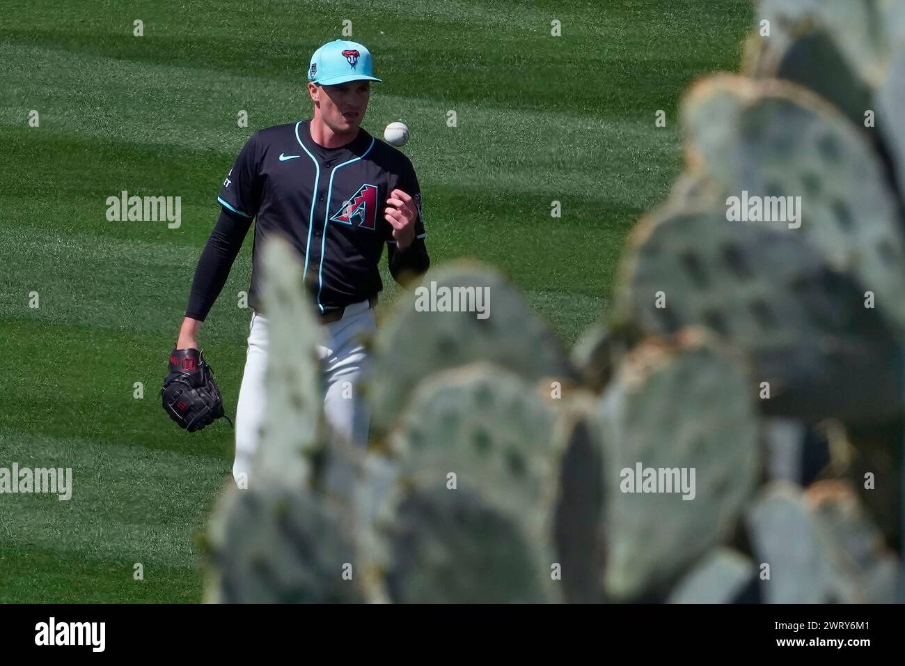 Arizona Diamondbacks starting pitcher Tommy Henry warms up prior to a ...