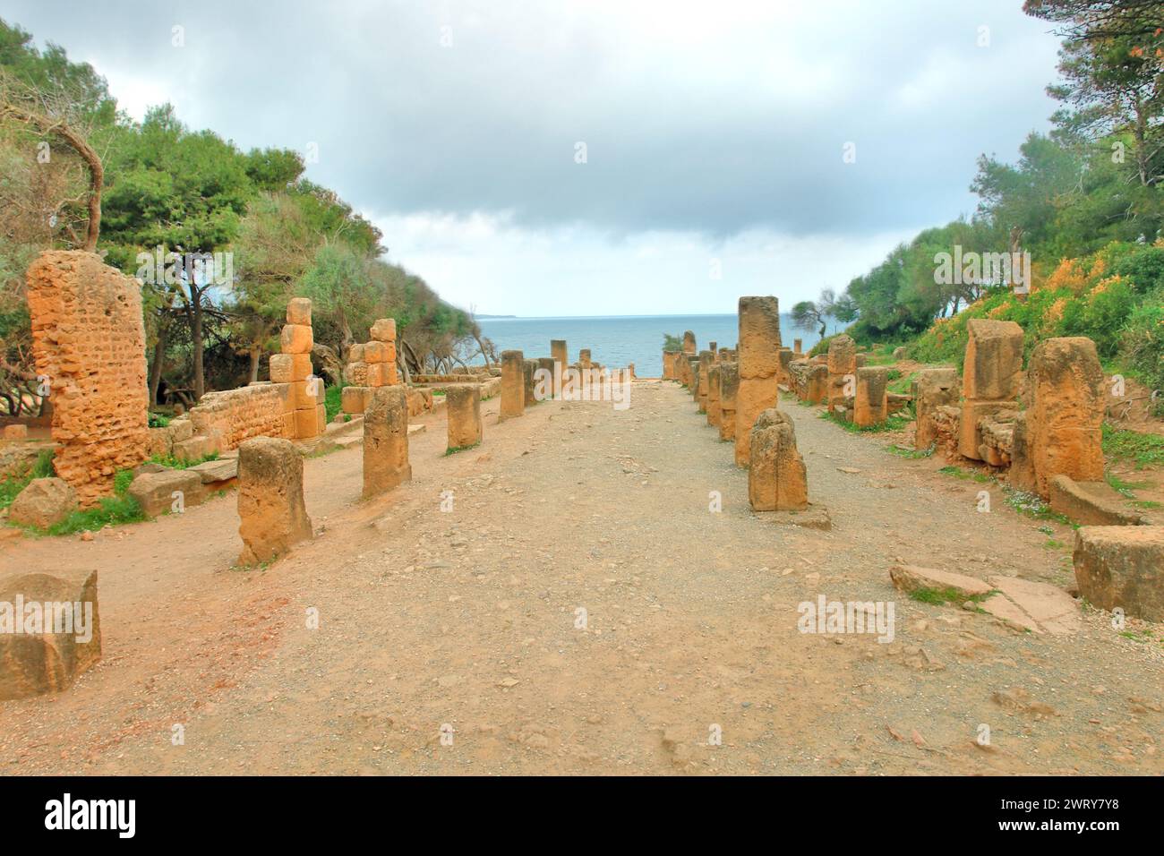 Ruins of the Roman city of Tipaza in Algeria Stock Photo - Alamy