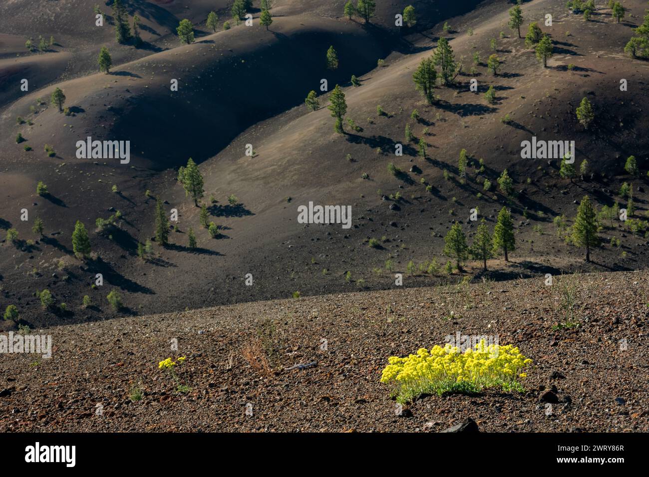 Cinder soil hi-res stock photography and images - Alamy