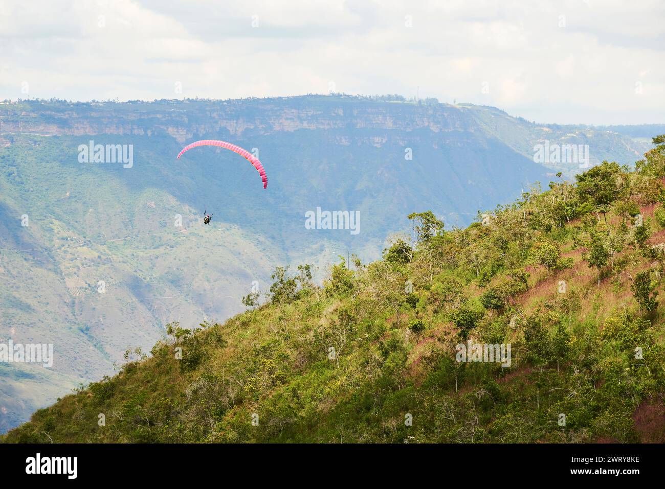 Adventure tourism: paragliding in the Chicamocha Canyon area, Santander, Colombia. Paraglider ...