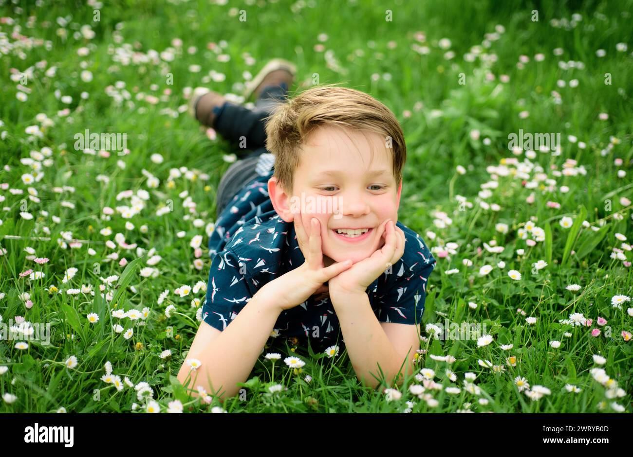 Spring boy on grass. Cute kid on field flower. Dreaming child Stock ...