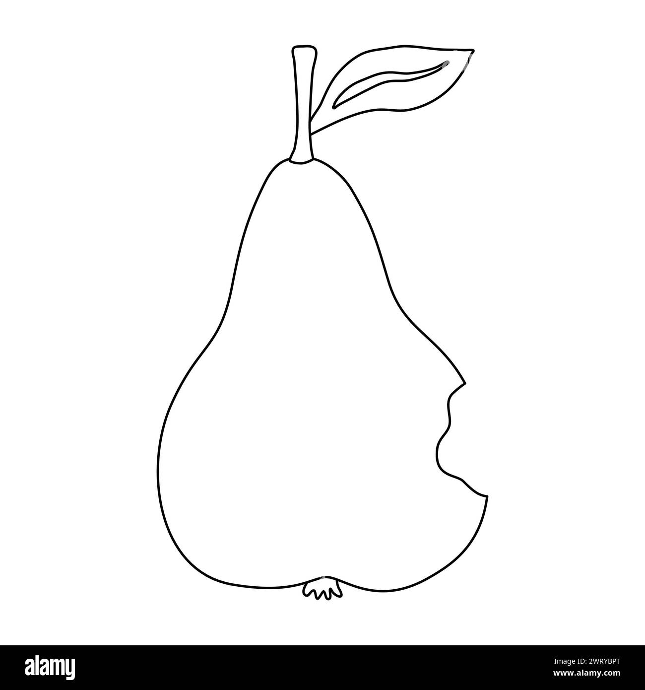 Fresh pear with leaf, nibbled from one side by caterpillar or insect ...