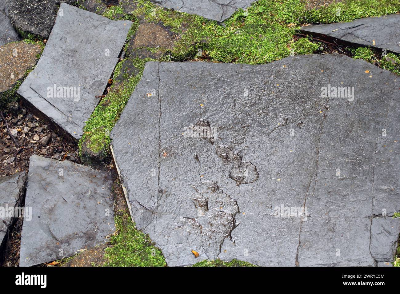 Stone pavers hi-res stock photography and images - Alamy