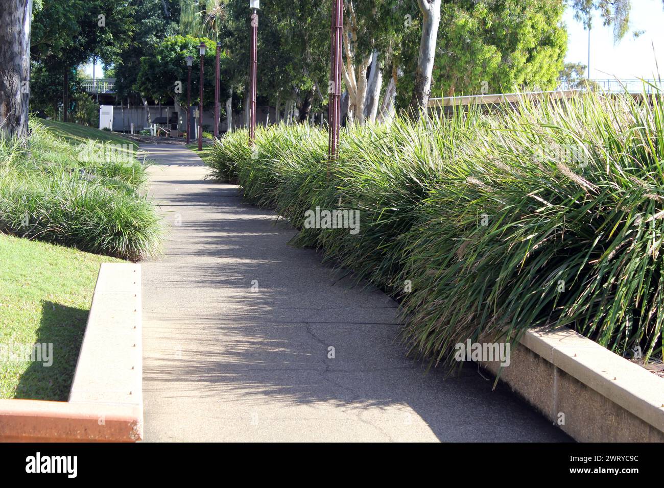 Garden tree nature walkway hi-res stock photography and images - Alamy