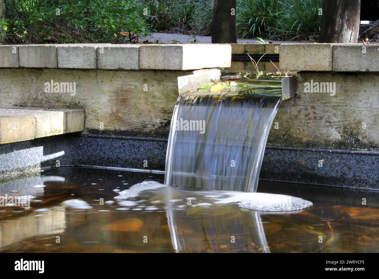 Small fountain in a man-made pond in a garden Stock Photo - Alamy
