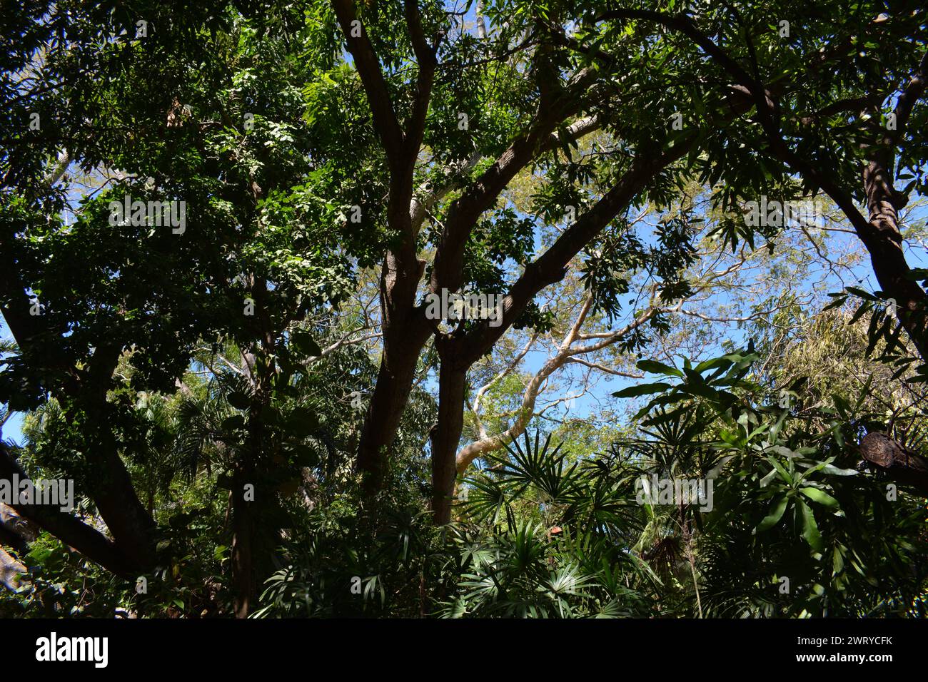 Various people involved in activities on Costa Rican beach Stock Photo ...