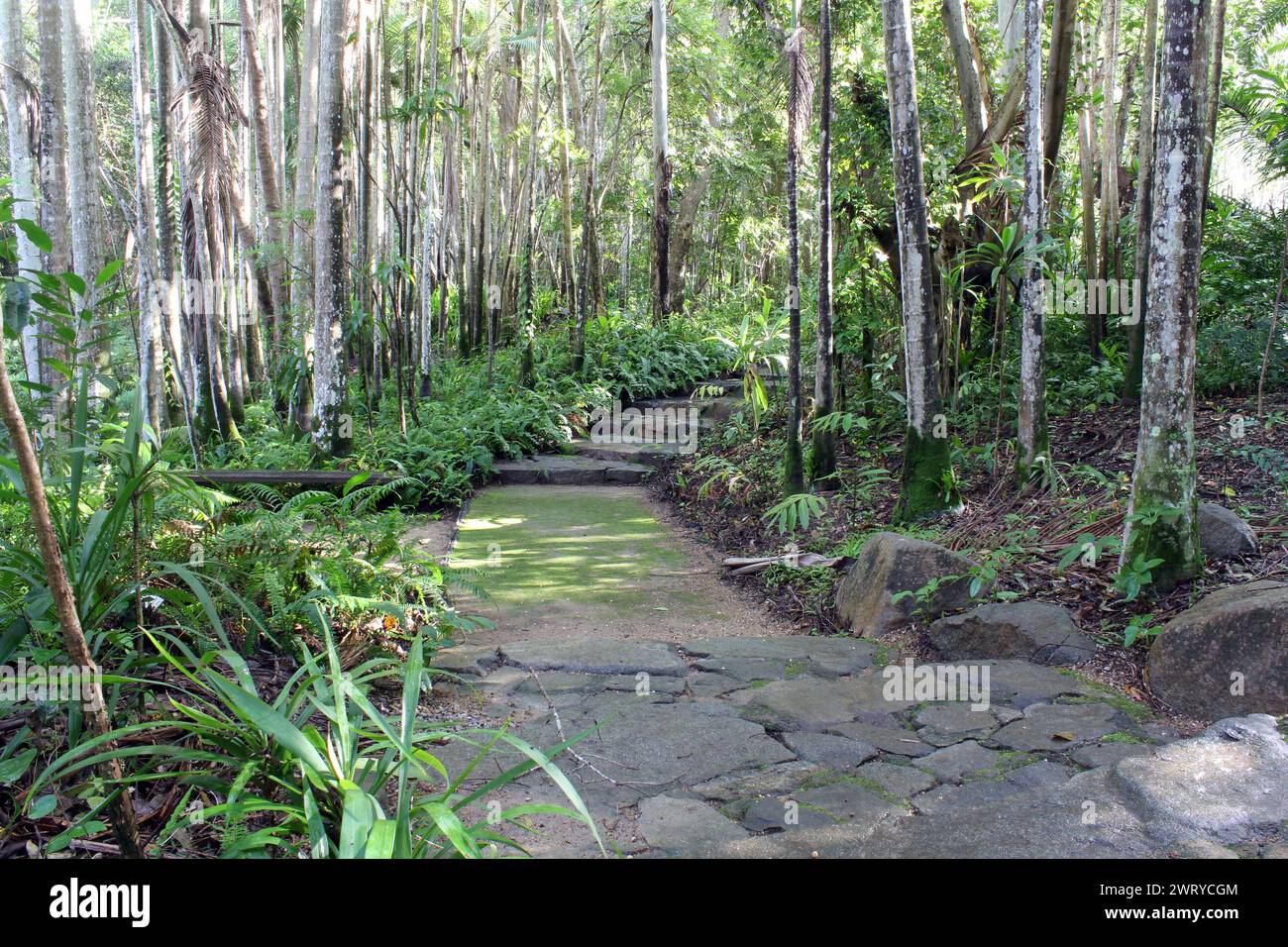 Stone path and trees at the Tondoon Botanic Gardens in Gladstone ...
