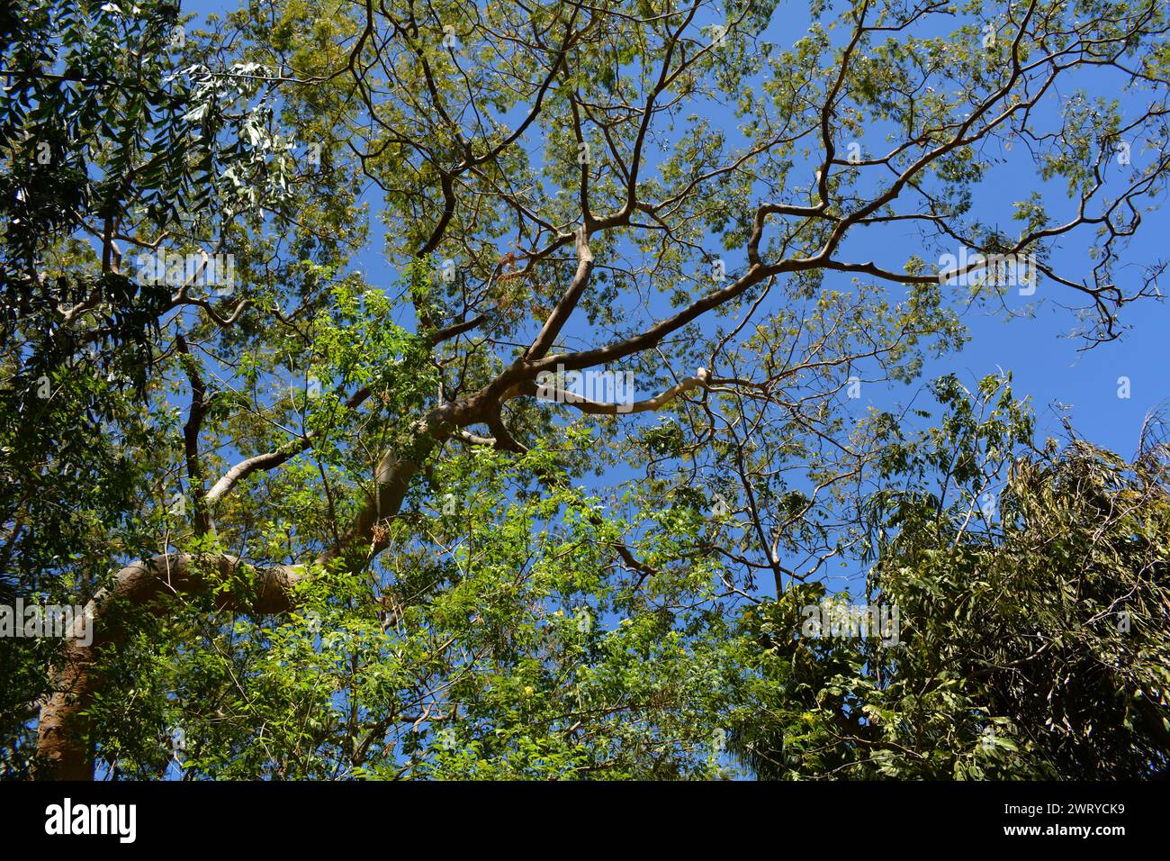 Various people involved in activities on Costa Rican beach Stock Photo ...