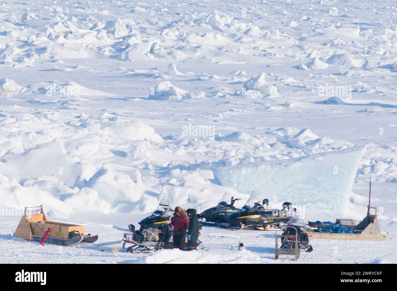 Scientists conducting bowhead whale survey count passing migrating ...