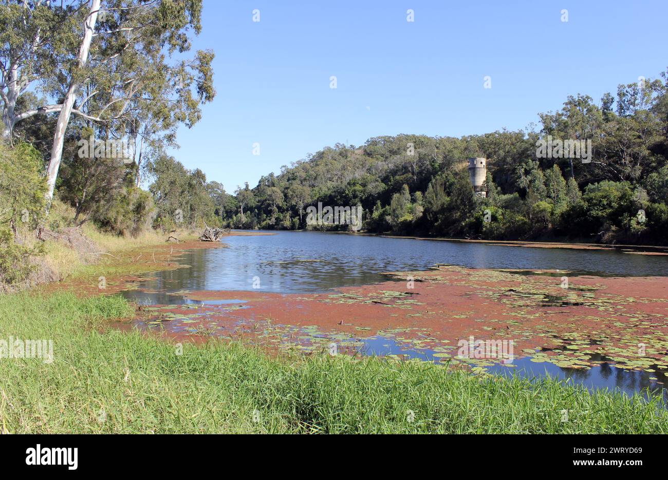 Lake at Pikes Crossing near Gladstone in Queensland, Australia Stock ...
